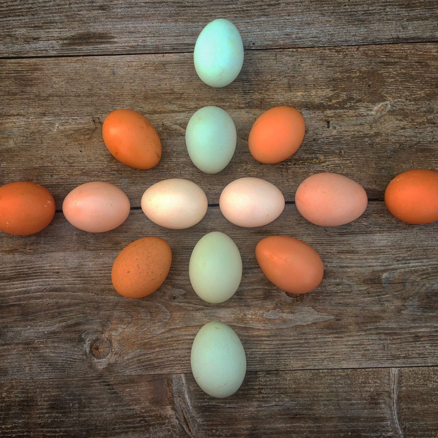 Hatching Shipped Eggs Handmade. Homegrown. Happiness. Happy on the ...